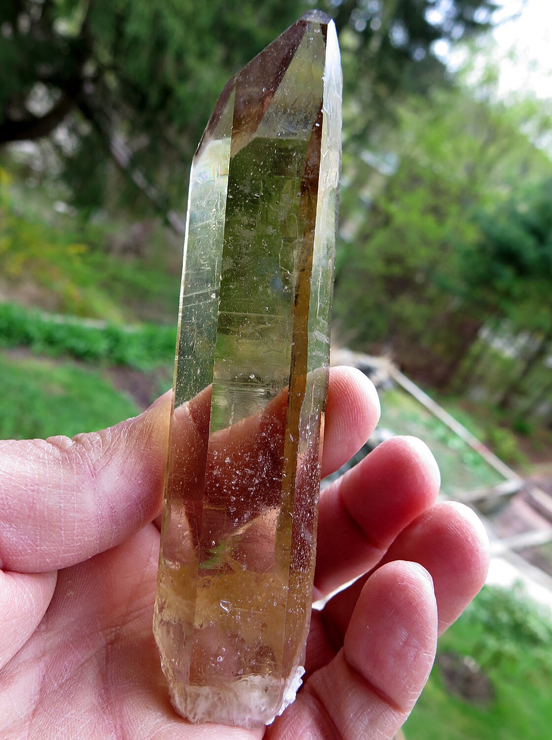 5.2 Inch Long Natural Yellow Citrine quartz Double Terminated Point ...