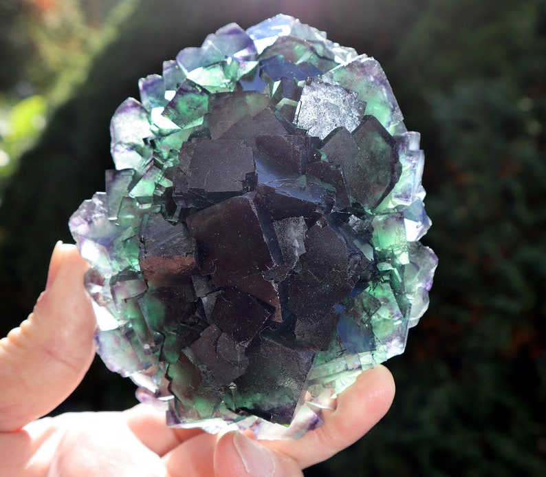 Okorusu Fluorite Crystal Flower: Green Color Zoning, Namibia, 5 Inch - Etsy