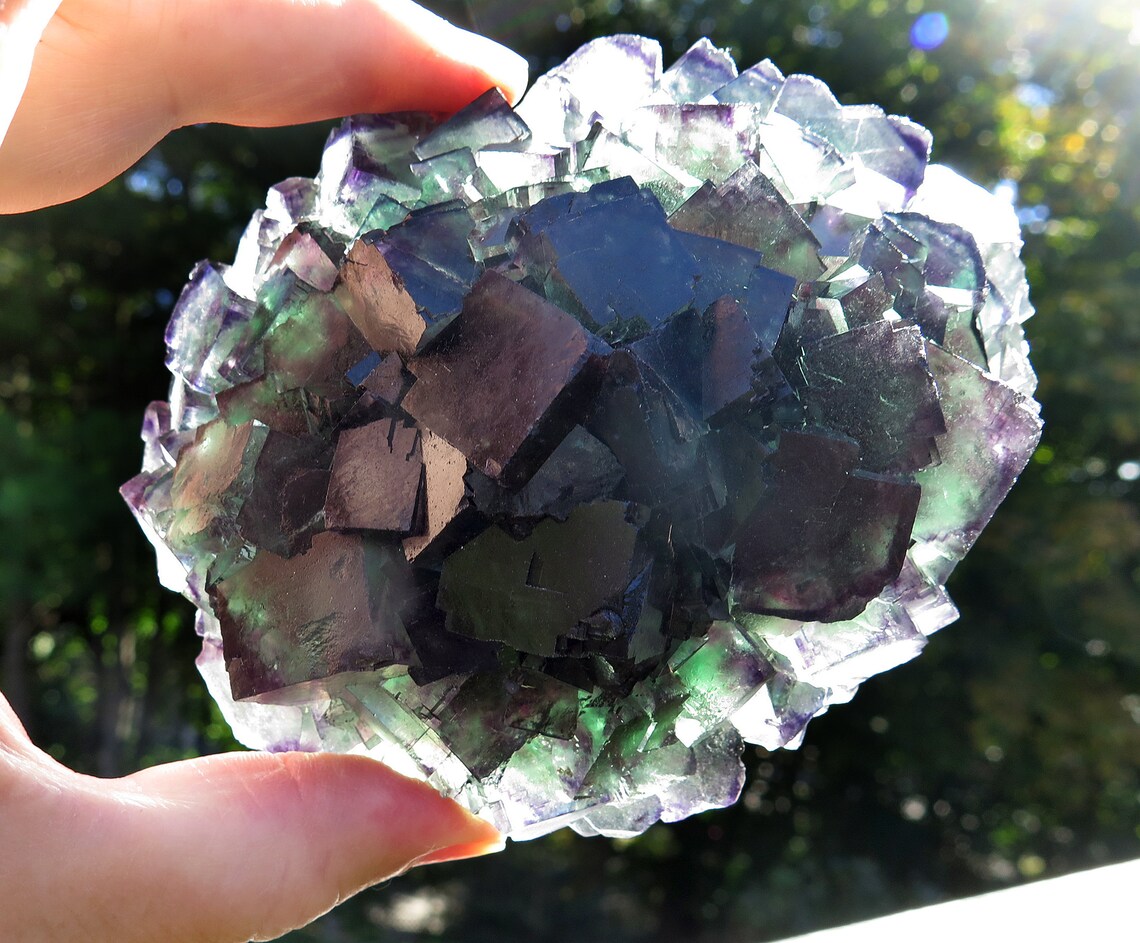 Okorusu Fluorite Crystal Flower: Green Color Zoning, Namibia, 5 Inch - Etsy