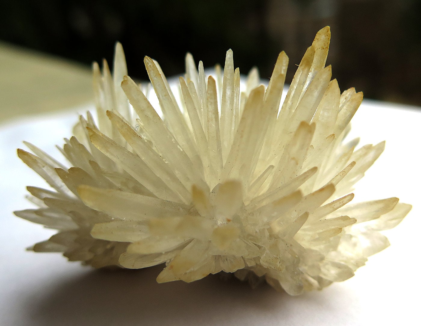 A Rare Aragonite Flower from Yunchangping Mine,Dadongla Hg-Zn ore Field ...