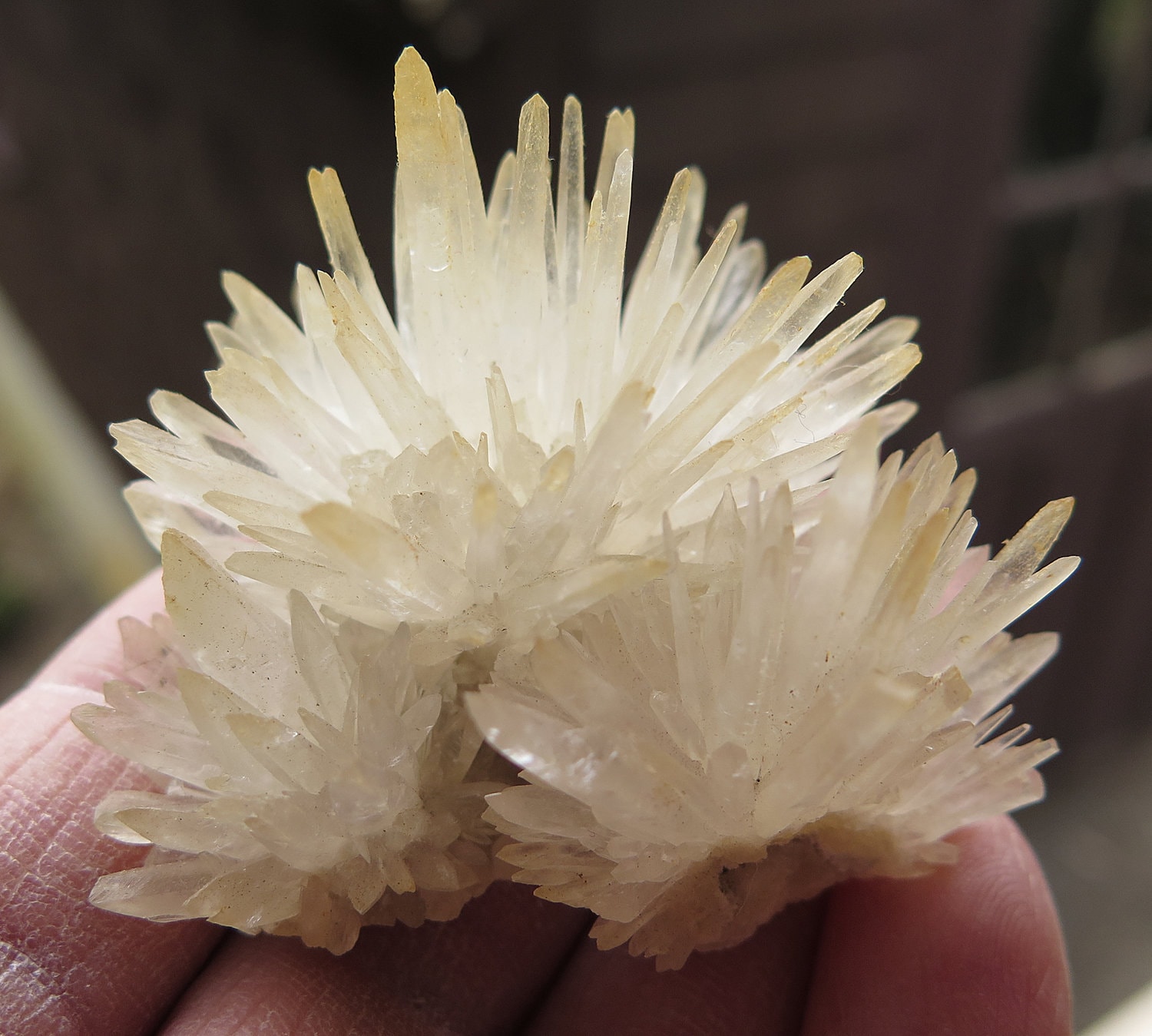A Rare Aragonite Flower from Yunchangping Mine,Dadongla Hg-Zn ore Field ...