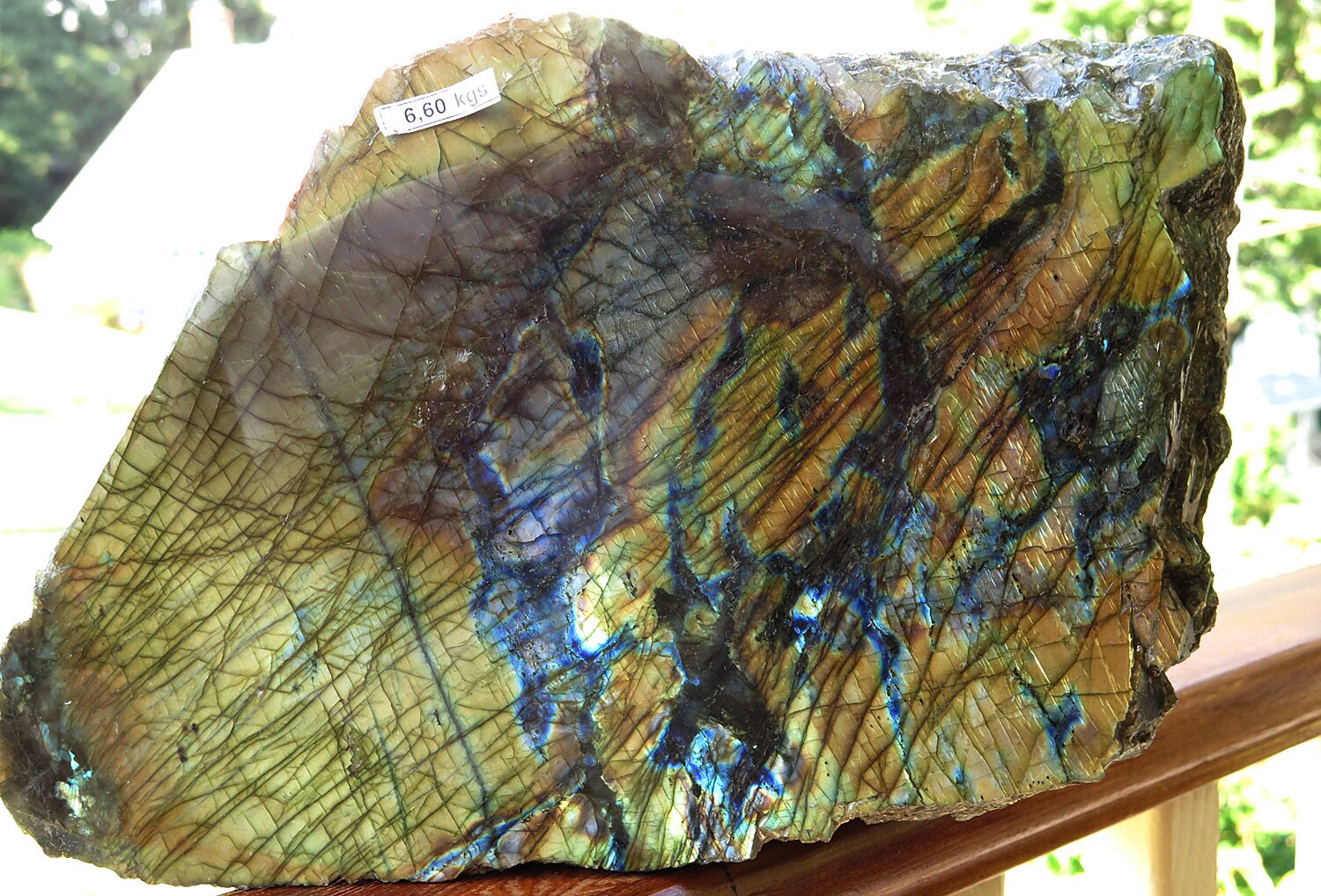 A High quality Labradorite showpiece with 100% flash of gold and blue ...