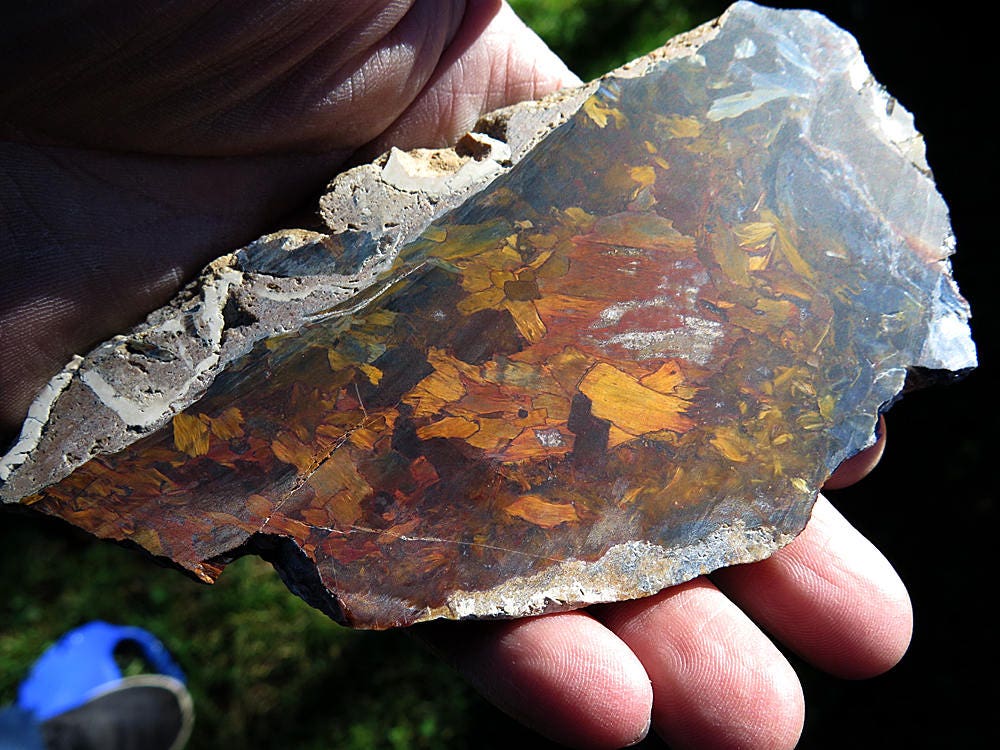 One of the best Pietersite slabs I have ever had. Big time flash. 5.5 ...