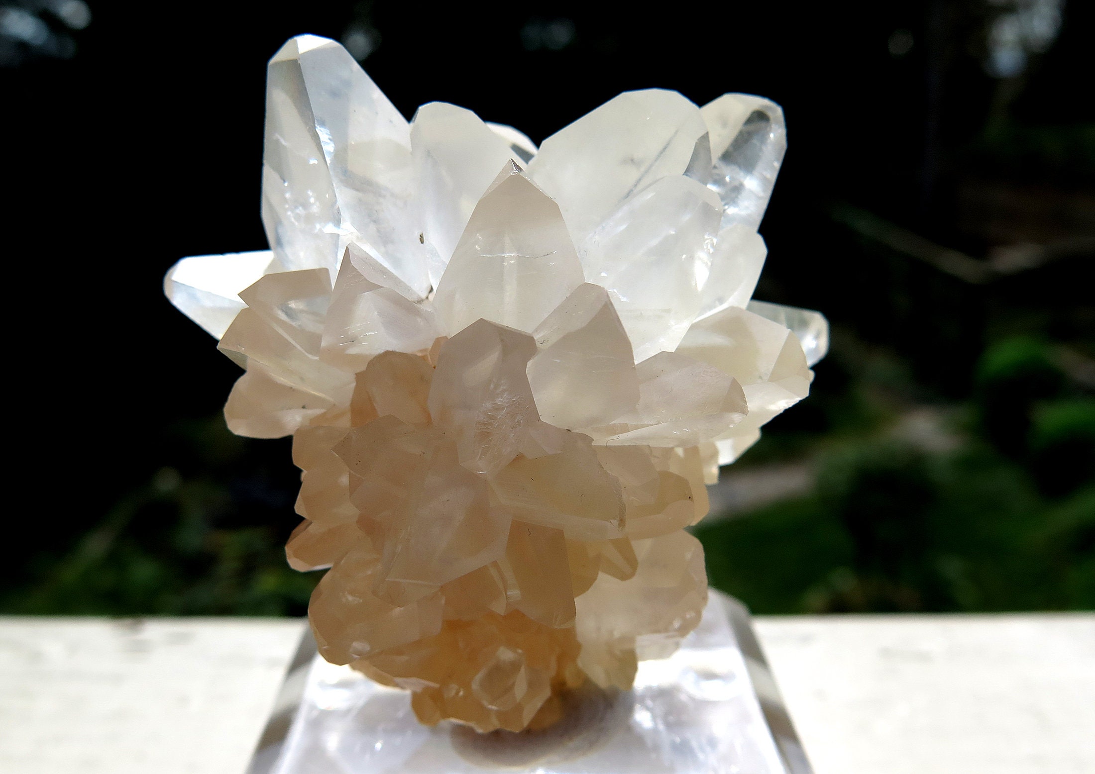 Pristine Calcite flower. Muli Mine, Guangnan Co., Wenshan, Yunnan, China