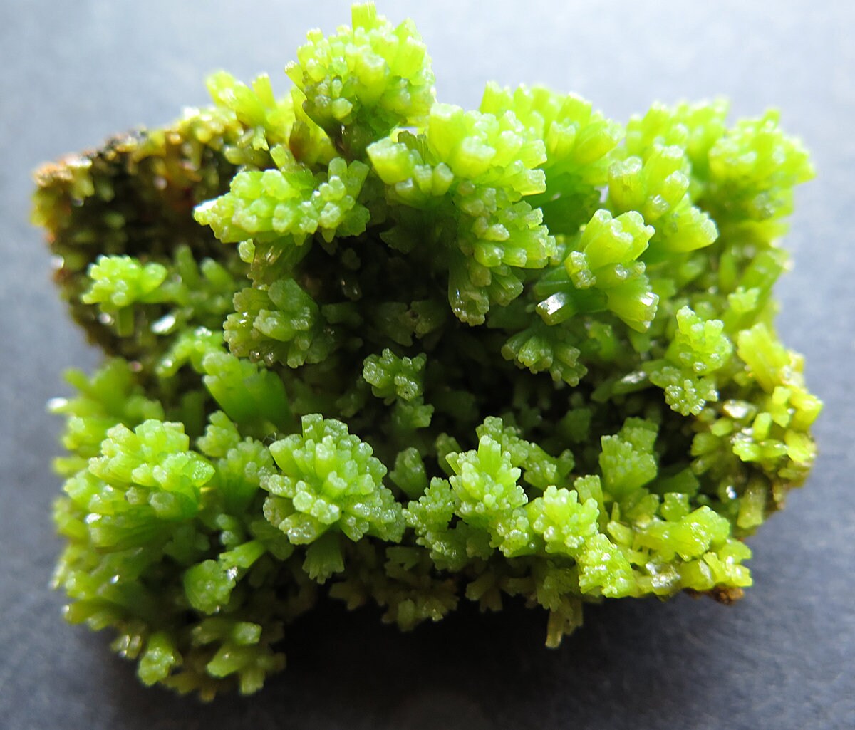 An excellent large Pyromorphite, Daoping Mine, Guangxi AR, China. 46.6 ...