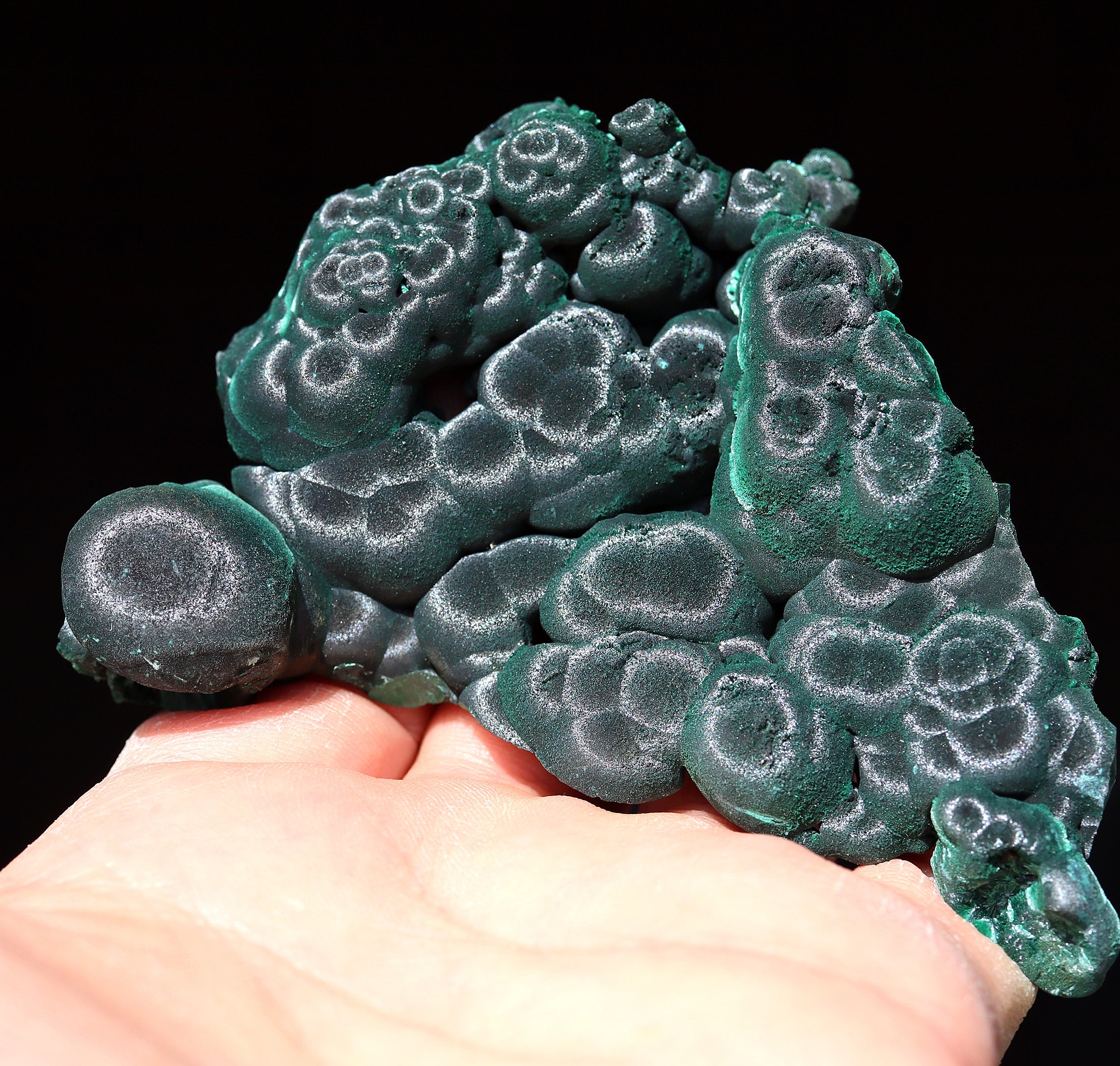 Shimmering Chatoyant Malachite Mindingi Mine, Congo. Excellent ...