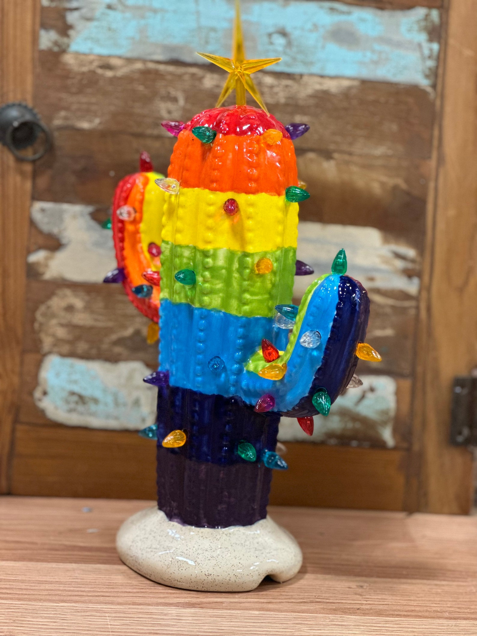 Lighted Cactus in Ceramic Vintage Rainbow - Etsy