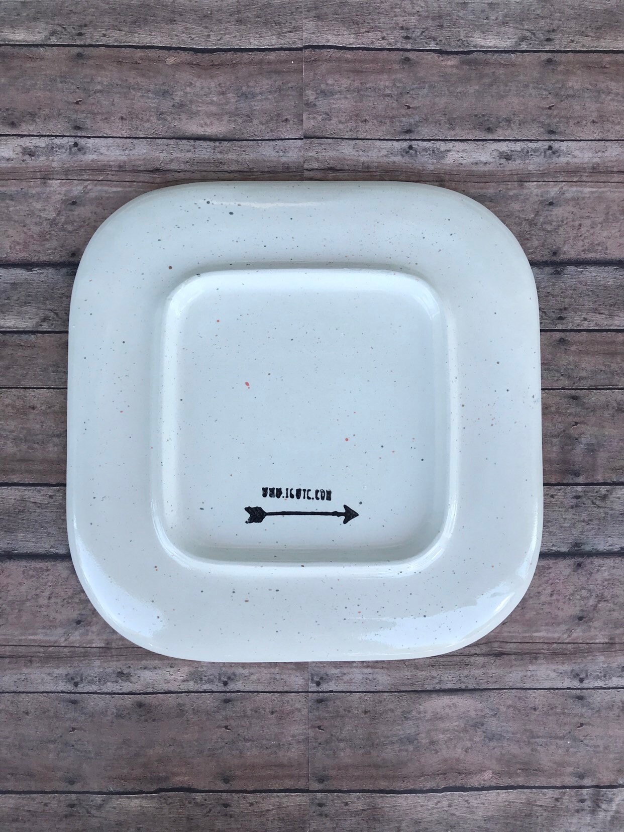 Winner Winner Vegan Dinner Plate Hand Painted Ceramic Square | Etsy