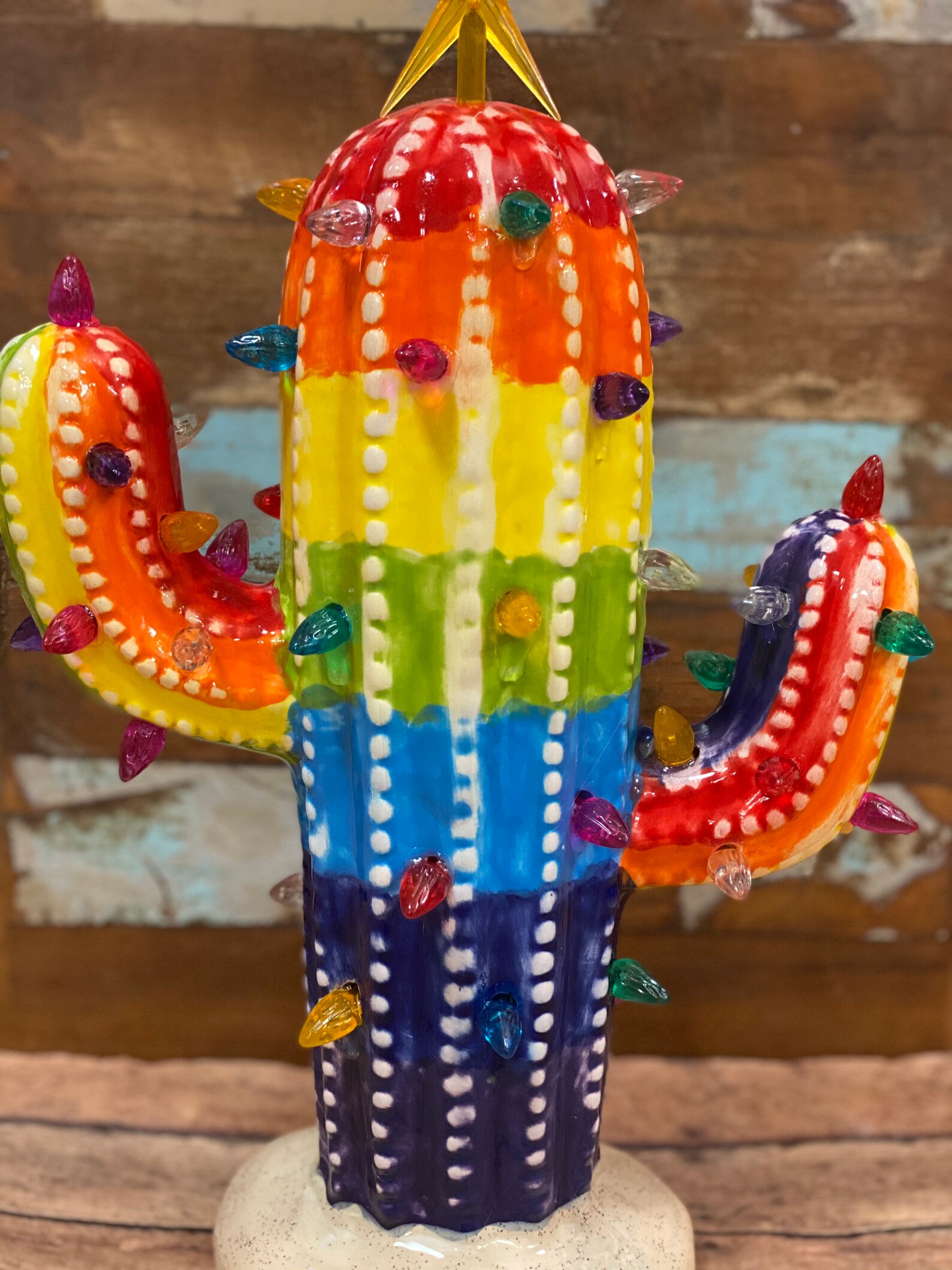 Lighted Cactus in Ceramic Vintage Rainbow | Etsy