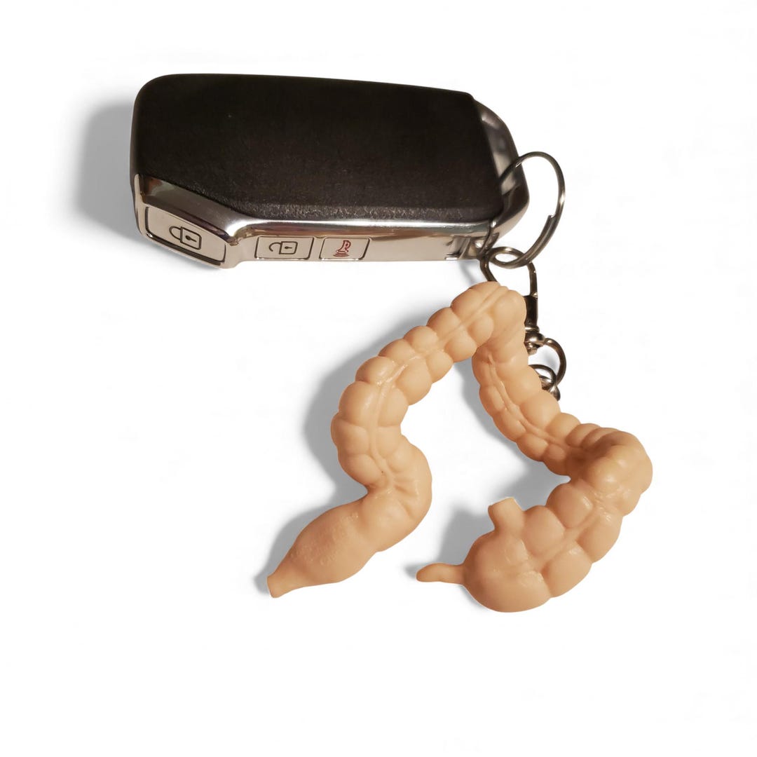 Large Intestine Keychain Bag Charm - Realistic Human Anatomy Keychain ...