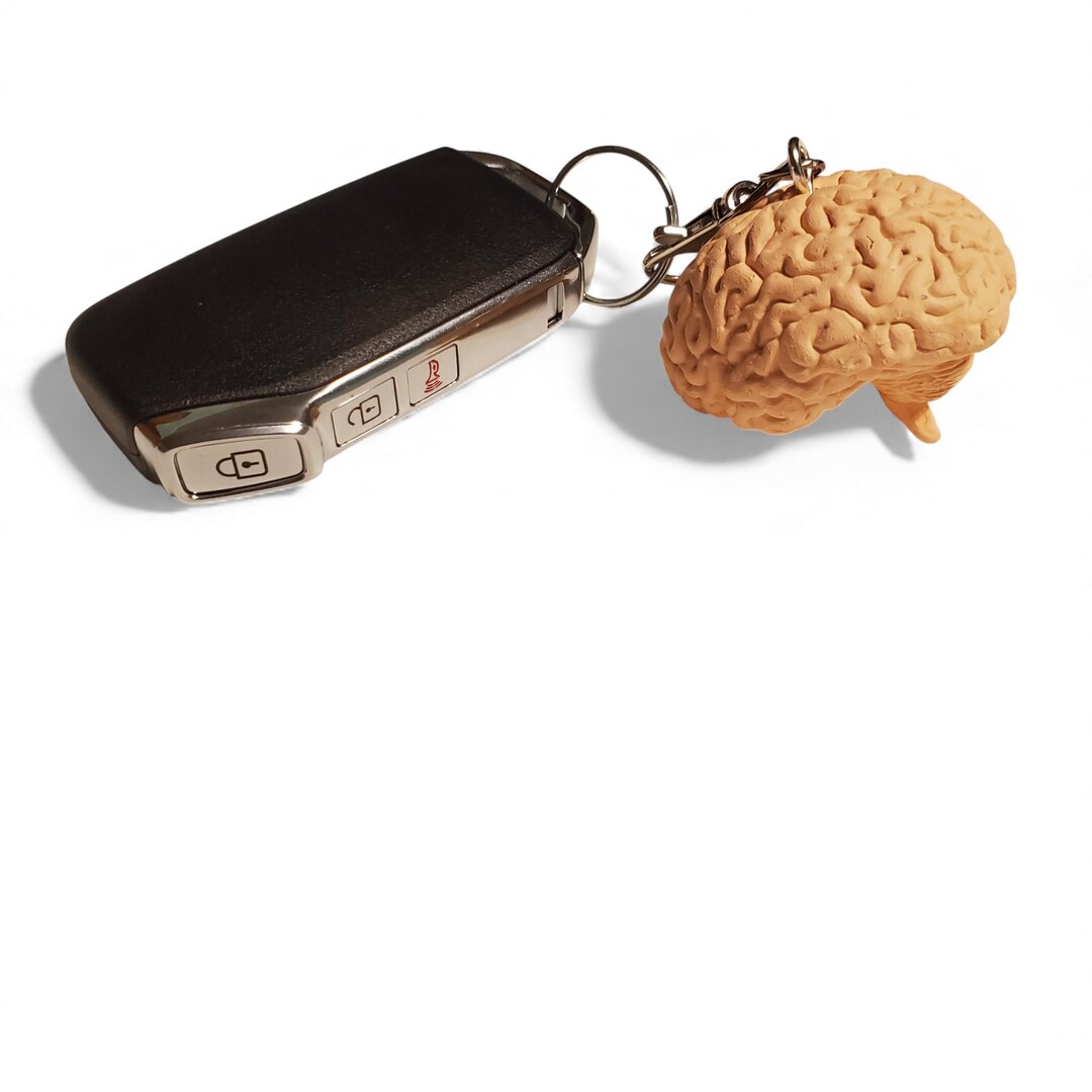 Brain Keychain Bag Charm - Realistic Human Anatomy Keychain - Fun ...