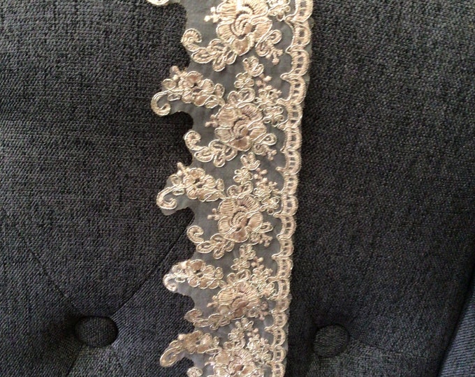 Fancy Lace Trim 1yd Dusty PEACHY Pink Rose Iridescent Accent 2 1/2 Wide ...