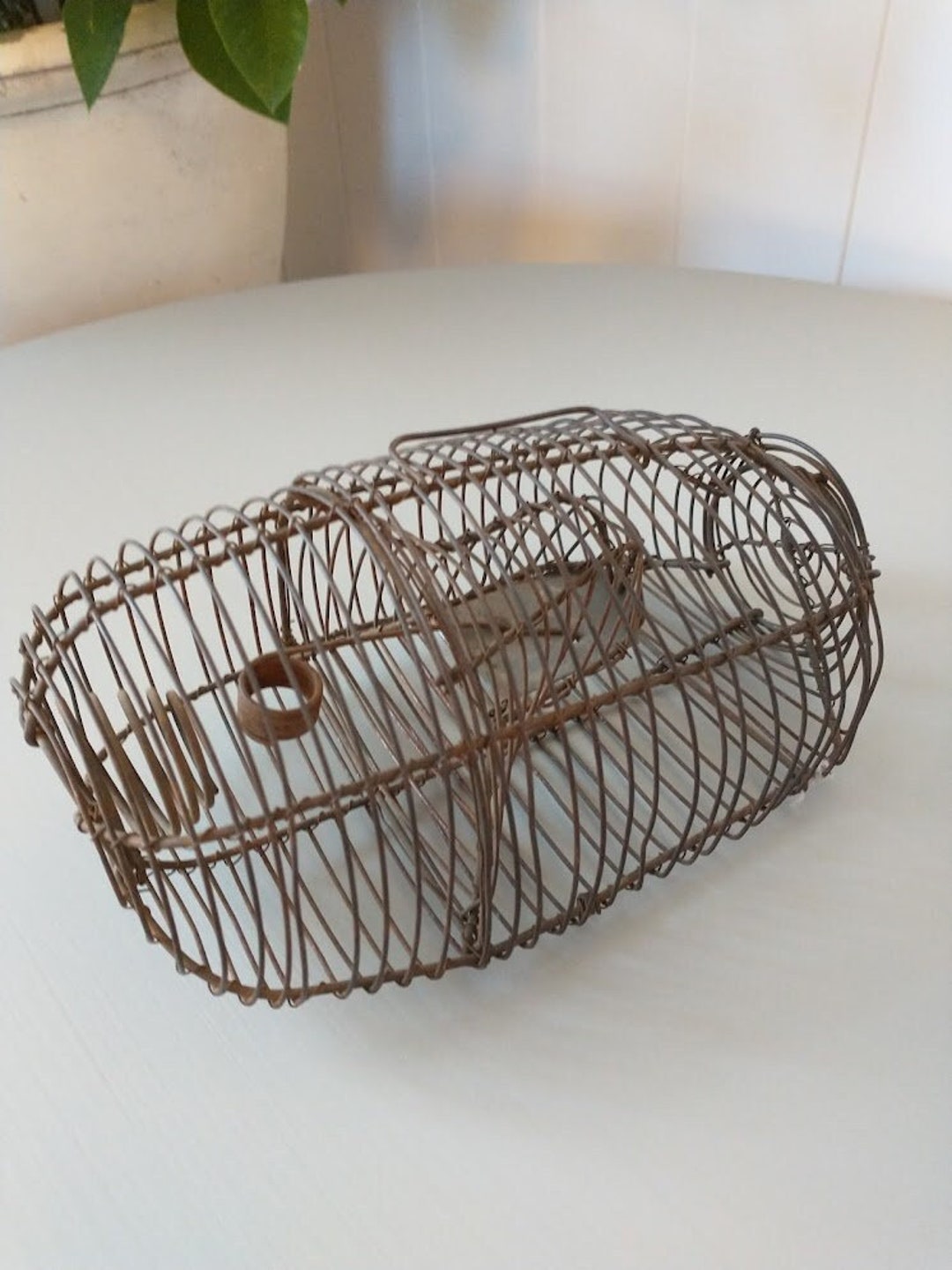 Vintage Wire Live Mouse Trap, Primitive Wire Cage Mouse Rat Trap - Etsy