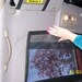 Protect Your Car's Interior With a Sunroof Bug Screen That Prevents ...
