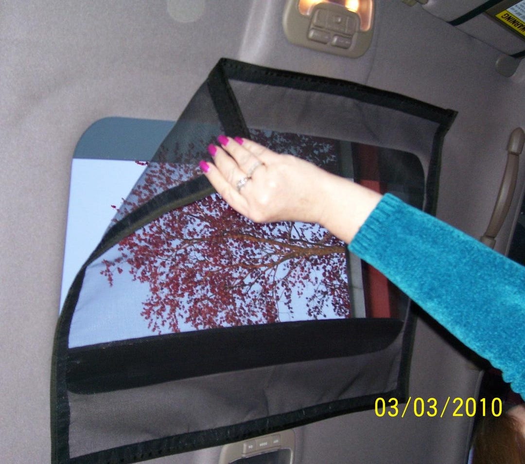 Protect Your Car's Interior With a Sunroof Bug Screen That Prevents ...