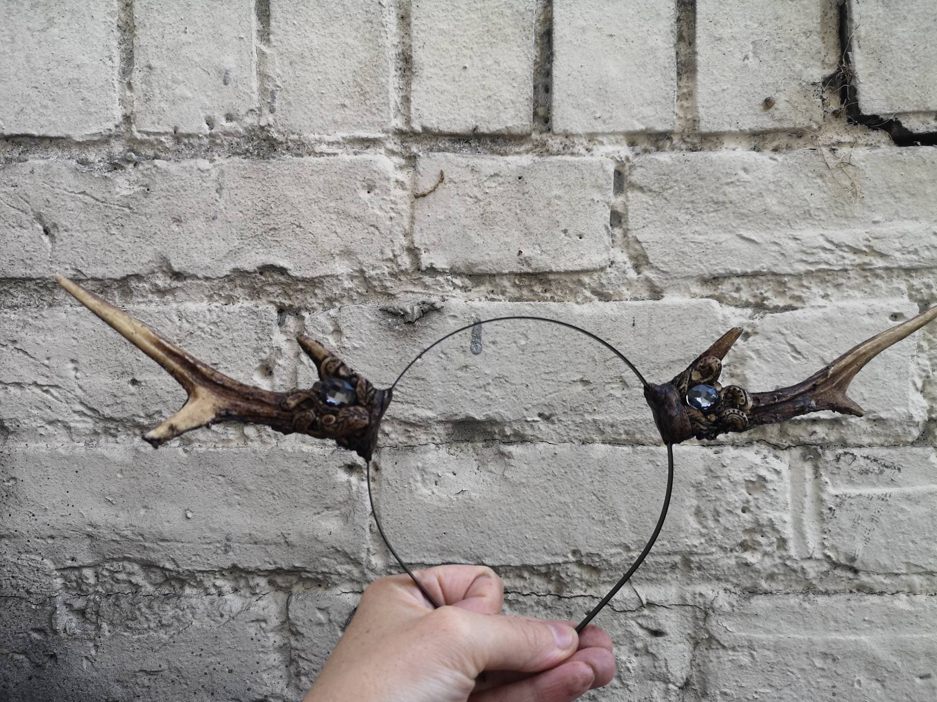 Natural tone Crystal Deer Antlers Medium - Made to Order