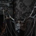 Cryptid Mask - Etsy