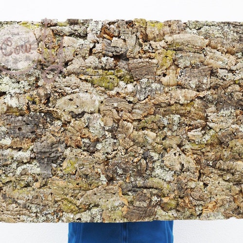 Large Eco Friendly Natural Thick 3D Cork Bark Tiles Large | Etsy
