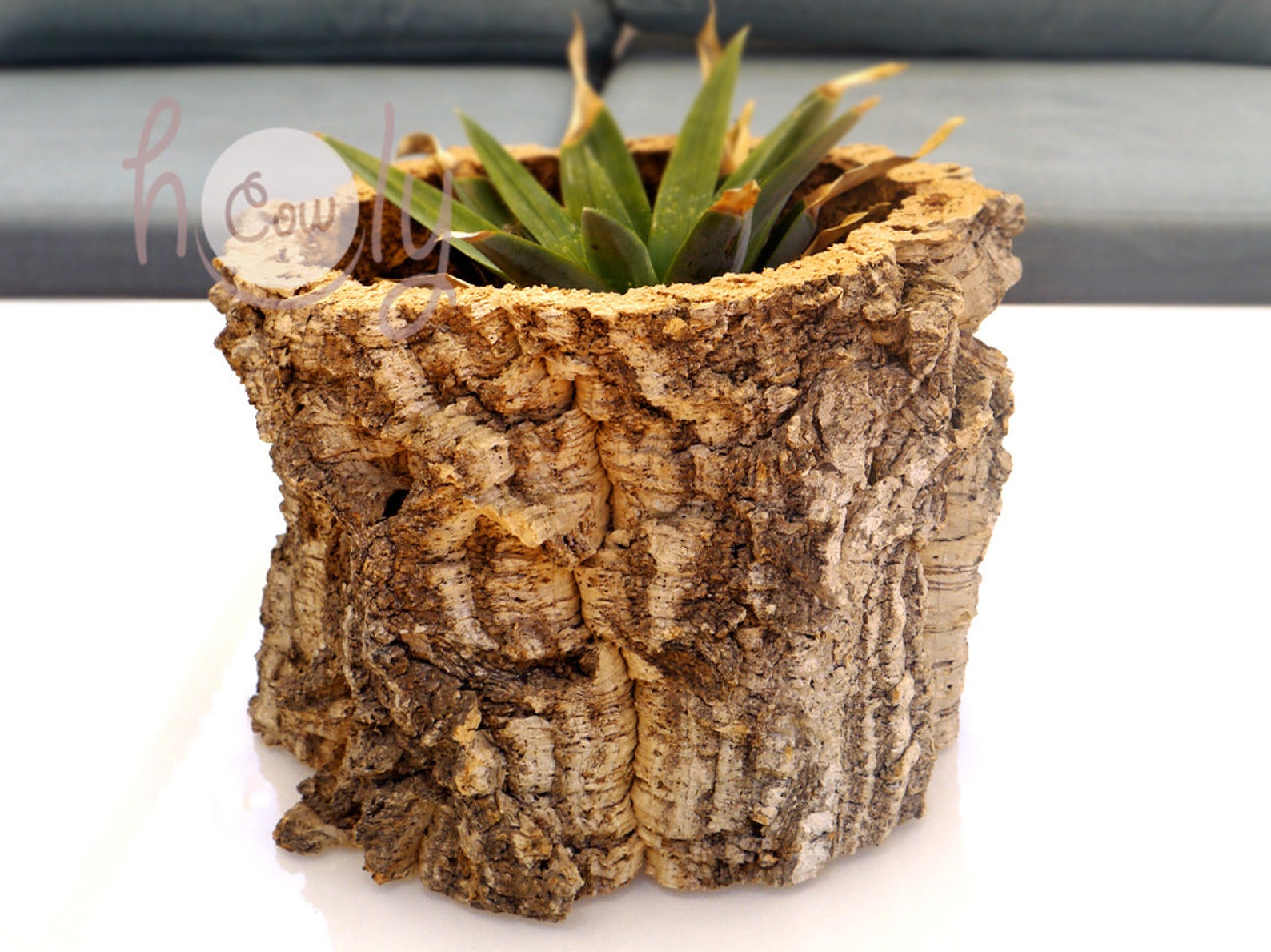 Large Eco Friendly and 100% Natural Cork Bark Planter Large | Etsy