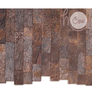 100% Eco Friendly Cork Bark Tiles of Various Lengths, Terrarium ...
