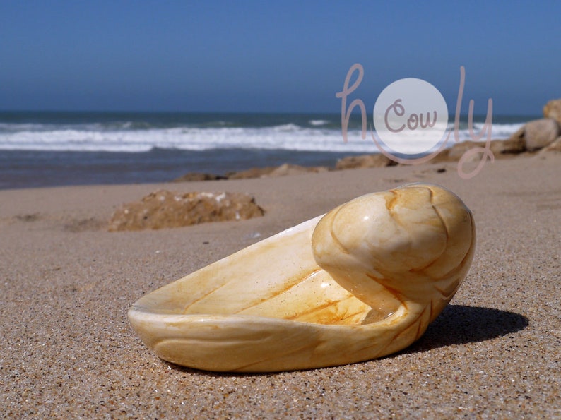 Handmade Large Ceramic Sea Shell Dish - Etsy