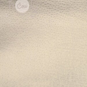 Large Beige Pigskin Leather Hides, Pig Skin Leather Hides, Beige ...