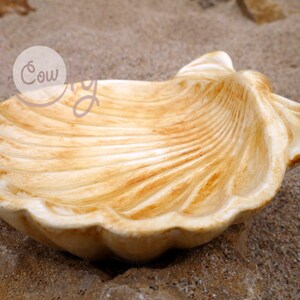 Handmade Large Ceramic Sea Shell Dish - Etsy