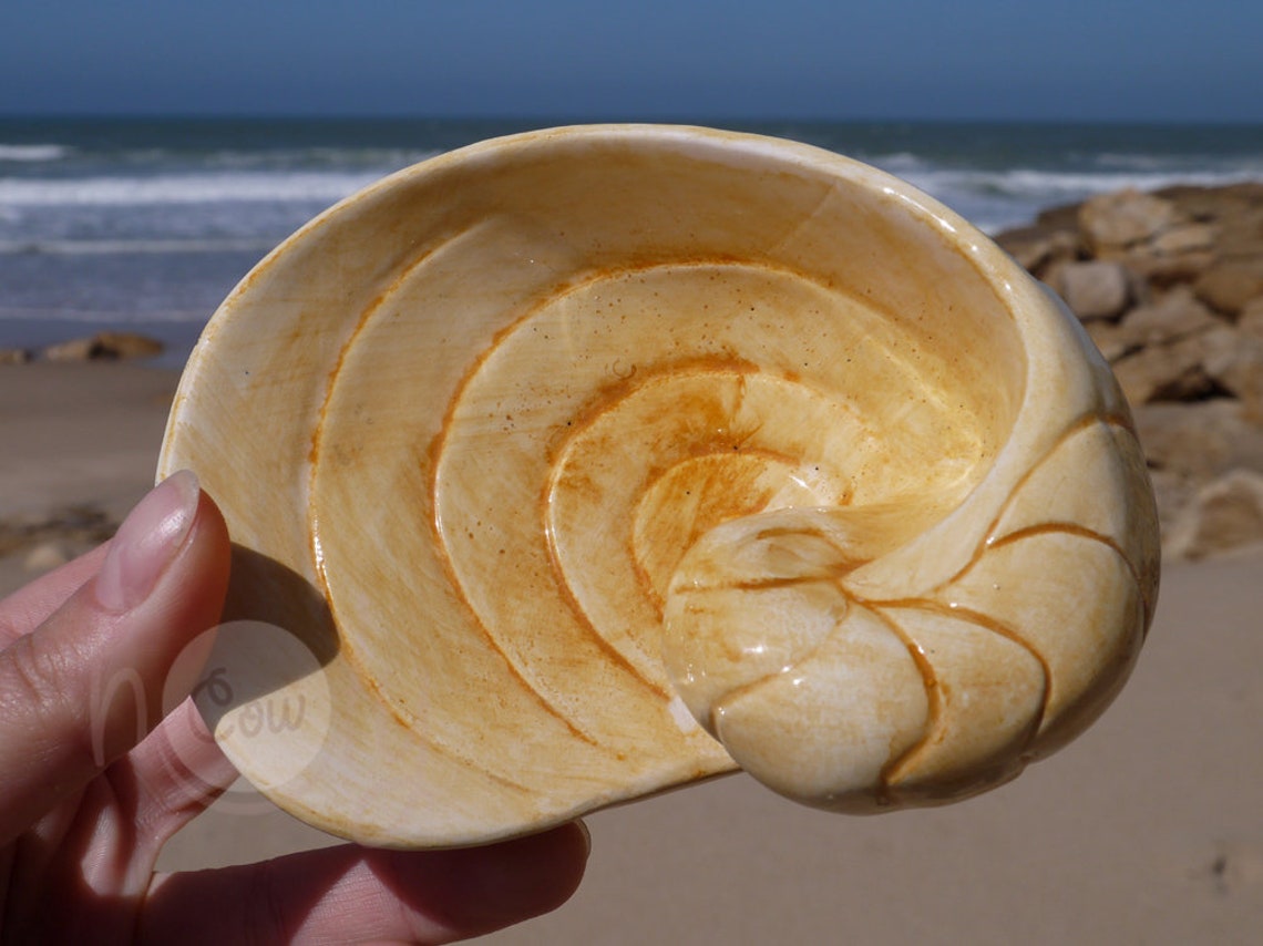 Handmade Large Ceramic Sea Shell Dish - Etsy