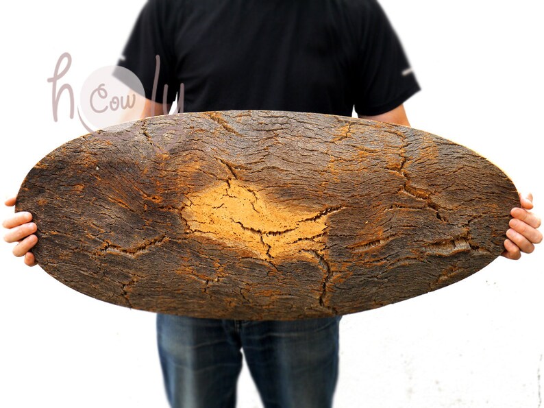 Large Eco Friendly Natural Cork Bark Bowl Cork Bowl Rustic - Etsy