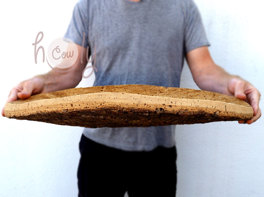 Large Eco Friendly Natural Cork Bark Bowl, Cork Bowl, Rustic Bowl ...