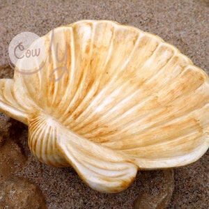 Handmade Large Ceramic Sea Shell Dish - Etsy