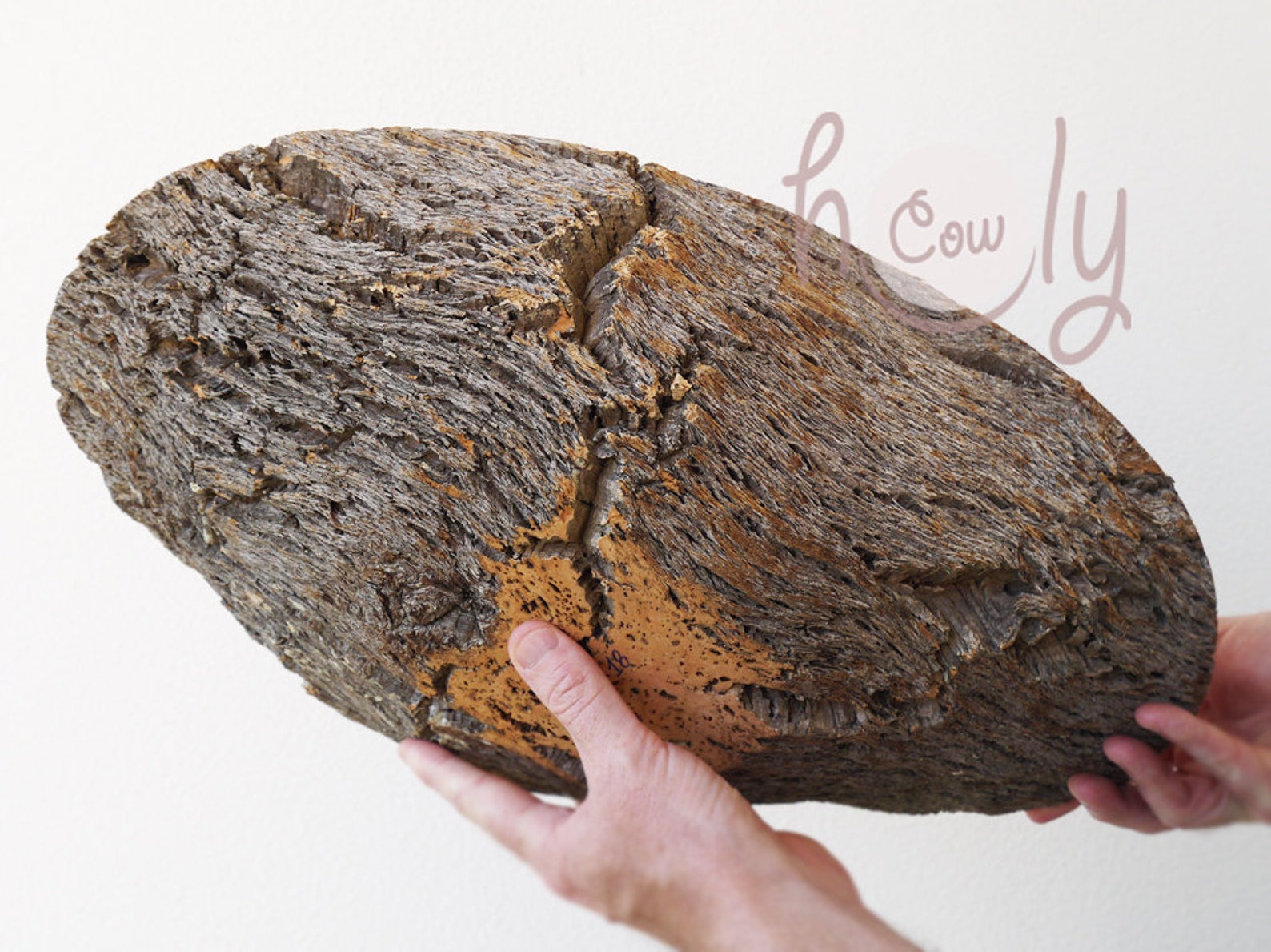 100% Eco Friendly Natural Large Cork Bark Bowl, Cork Bowl, Rustic Bowl ...