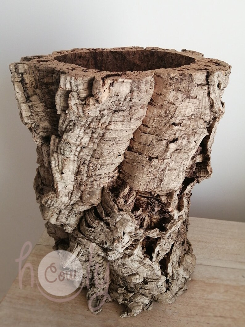 Large Eco Friendly and 100% Natural Cork Bark Planter, Large Rustic ...