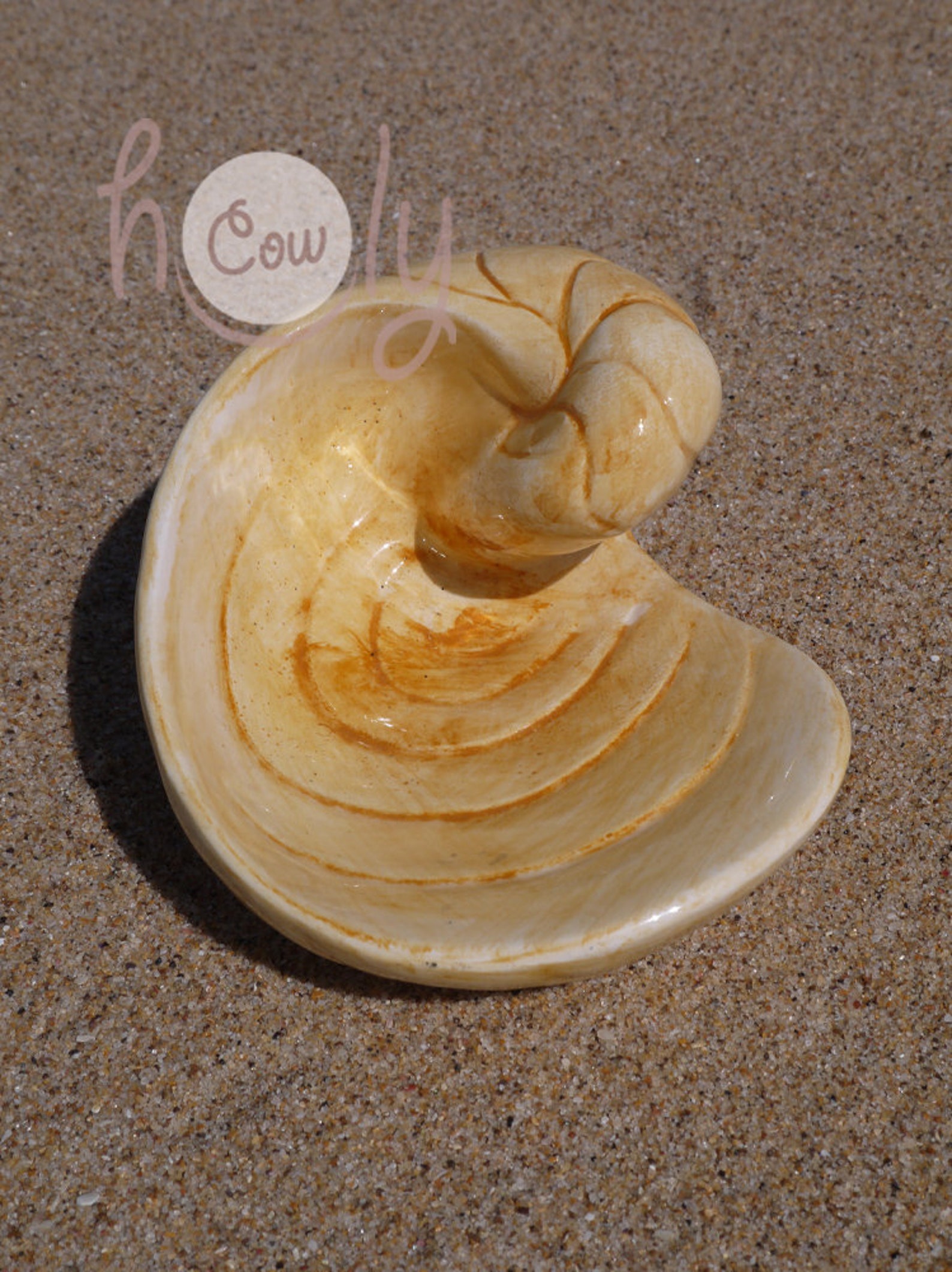 Handmade Large Ceramic Sea Shell Dish - Etsy