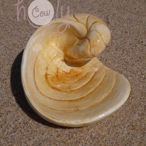 Handmade Large Ceramic Sea Shell Dish - Etsy