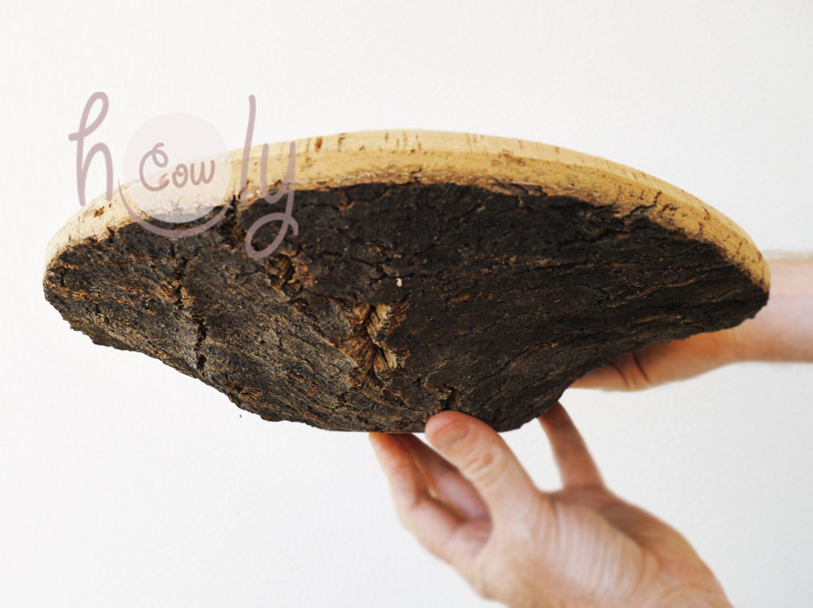 Eco Friendly and 100% Natural Cork Bark Bowl, Cork Bowl, Rustic Bowl ...