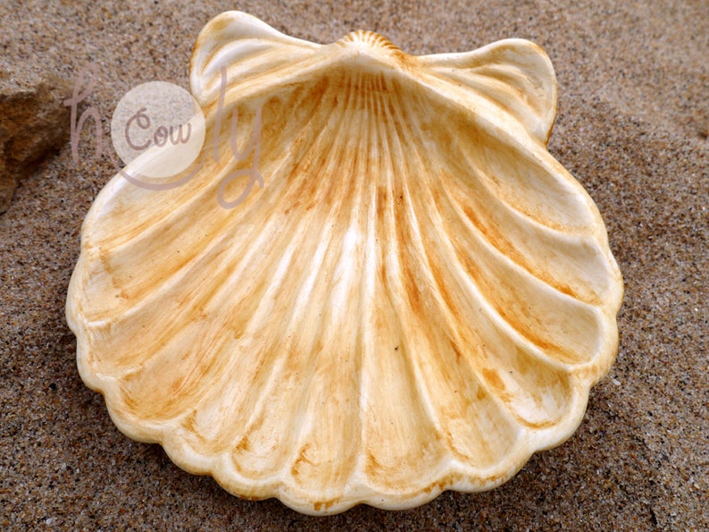 Handmade Large Ceramic Sea Shell Dish - Etsy