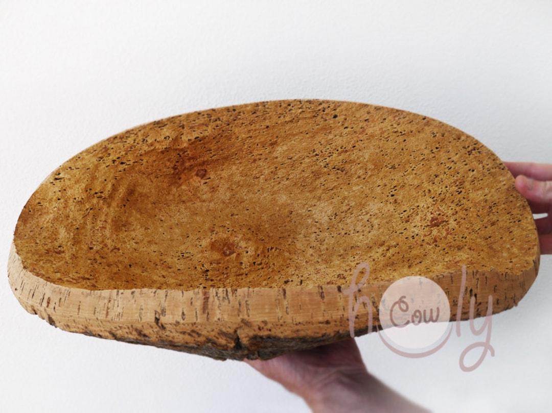 100% Eco Friendly Natural Large Cork Bark Bowl, Cork Bowl, Rustic Bowl ...