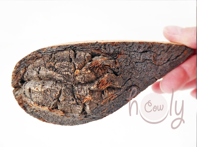 100% Natural Rustic Eco Friendly Sustainable Cork Bark Spoon | Etsy