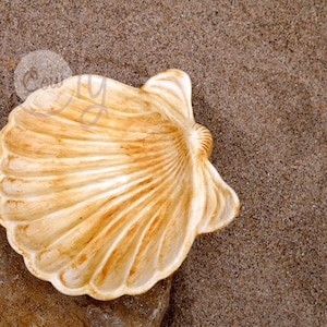 Handmade Large Ceramic Sea Shell Dish - Etsy