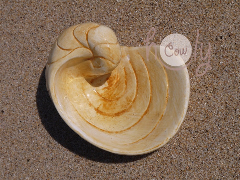 Handmade Large Ceramic Sea Shell Dish - Etsy