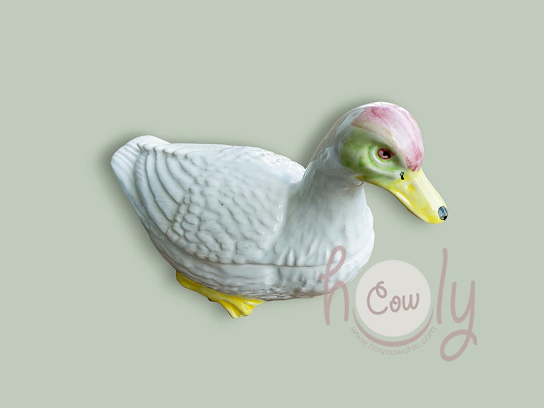 Hand Painted Colorful Ceramic Duck Storage Container, FREE SHIPPING - Etsy