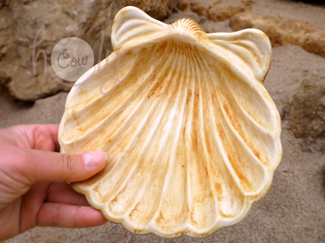 Handmade Large Ceramic Sea Shell Dish - Etsy
