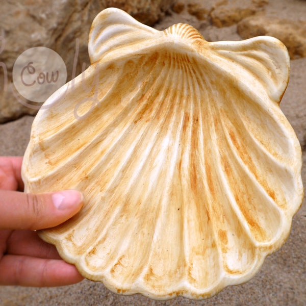 Ceramic Sea Shell - Etsy