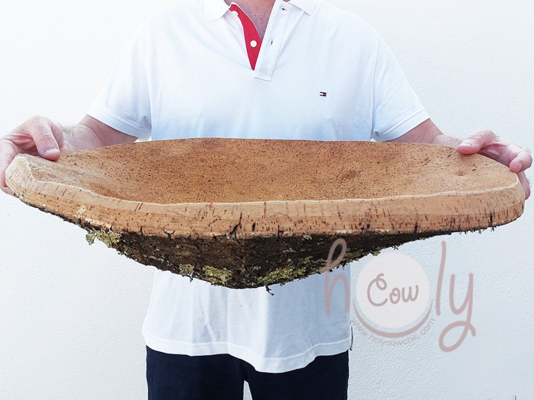 Large Eco Friendly Natural Cork Bark Bowl, Cork Bowl, Rustic Bowl ...