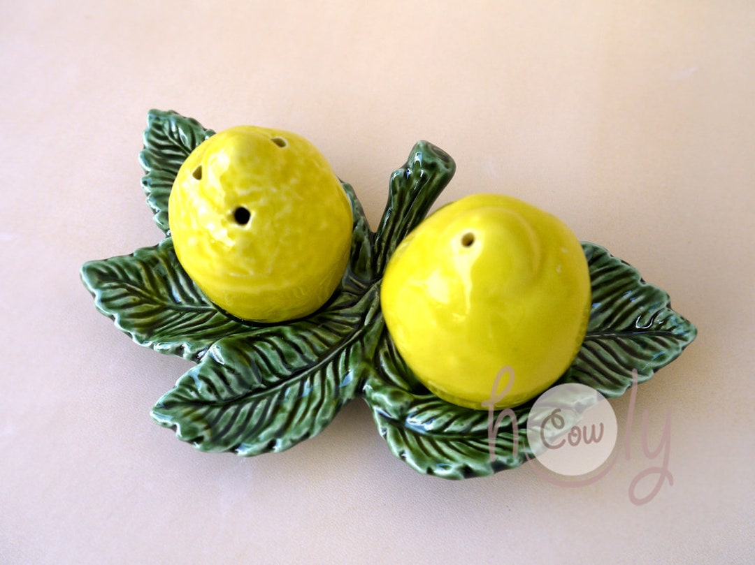 Handmade Ceramic Salt and Pepper Shaker Set, Lemon Salt and Pepper ...