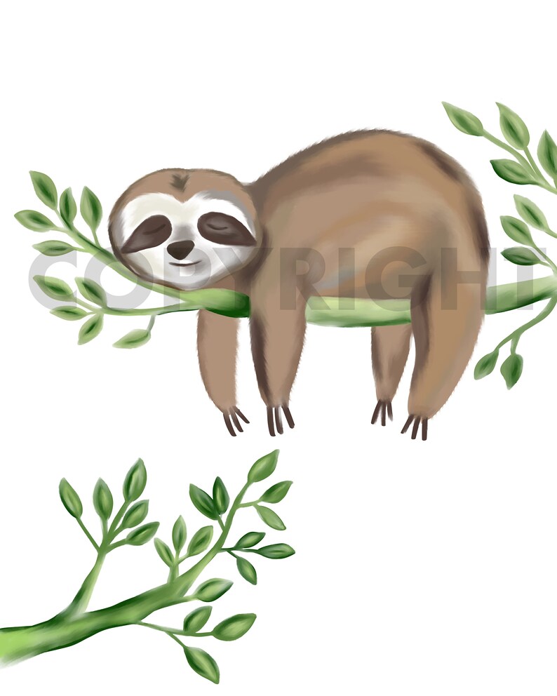 Sloth Nursery Art digital Sloth Theme Nursery Sloth Baby - Etsy