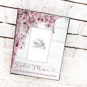 Personalized Baby Girl Frame, Birth Stats Frame, Newborn Picture Frame ...
