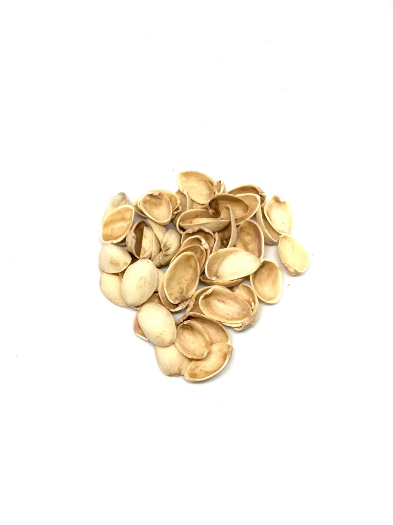 Pistachio Nut Shells Peels Supplies Nuts Peel Decoration - Etsy