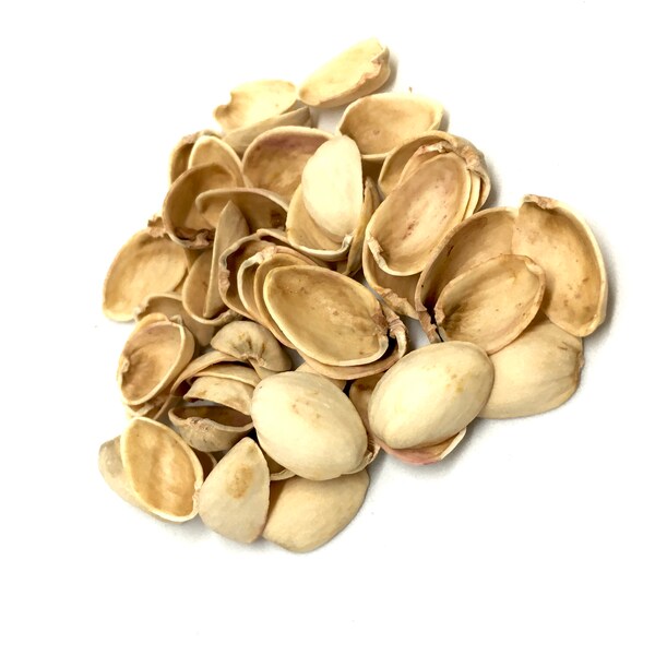 Pistachio Shells - Etsy